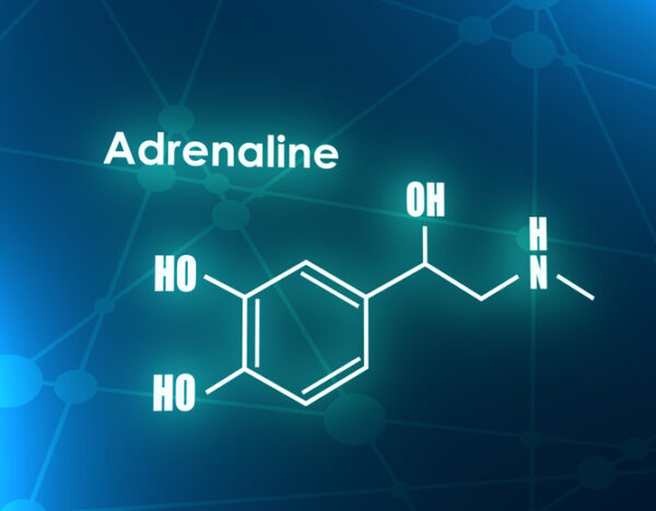The Science Behind Adrenaline: Its Vital Roles | Maggie Yu MD, IFMCP